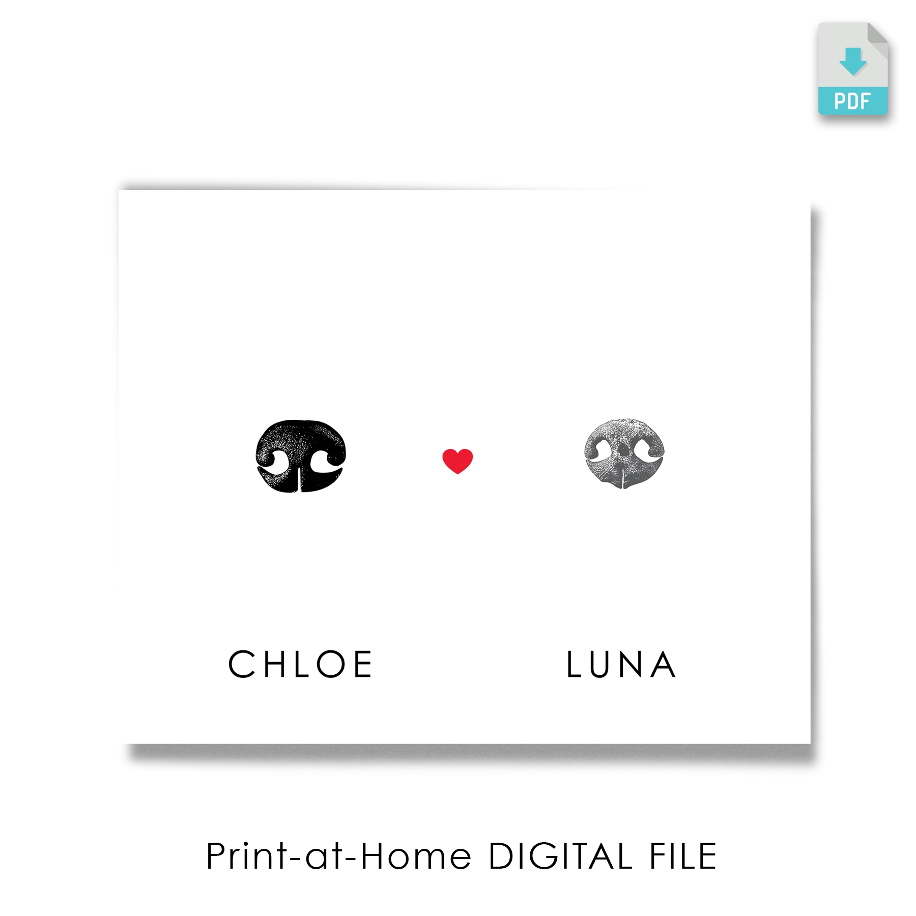 Digital Pet Nose Print | Keepsake For All Your Pets, Past and Present ...