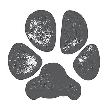 Custom Paw Print Keepsake for Multiple Pets | Easy No-Mess – Flutterbye ...