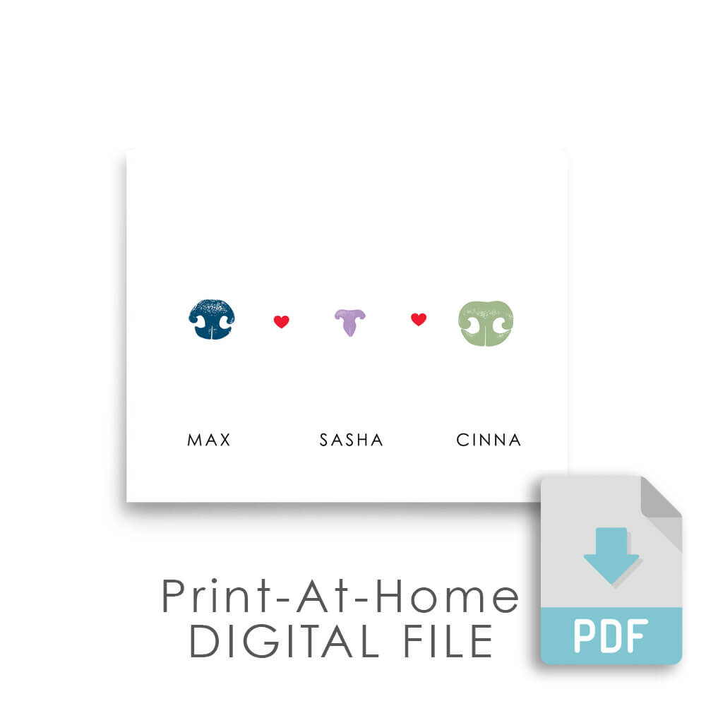 Digital Pet Nose Print | Keepsake For All Your Pets, Past and Present ...