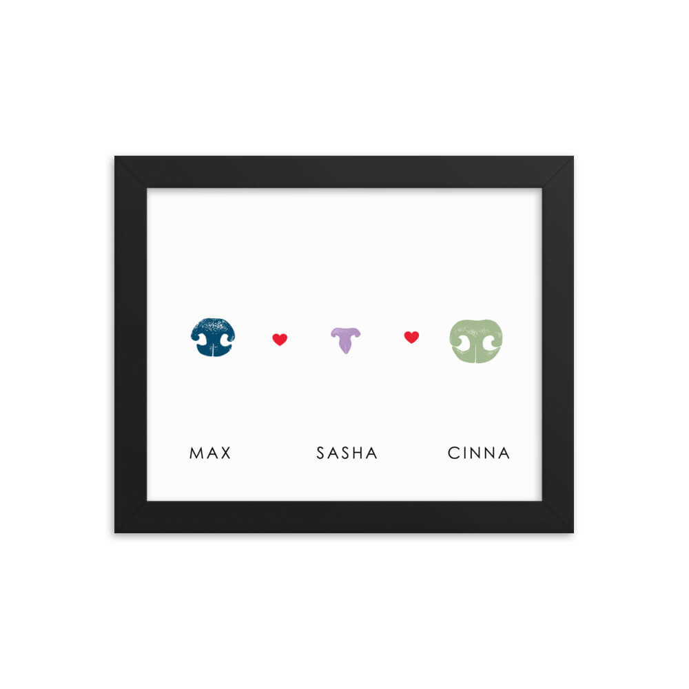 Pet Nose Impression 'Kit' for Multiple Pets | Easy for More than One ...